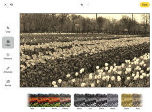 Editor Docs: Learn how to install and configure Image Hopper