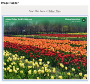 Editor Docs: Learn how to install and configure Image Hopper